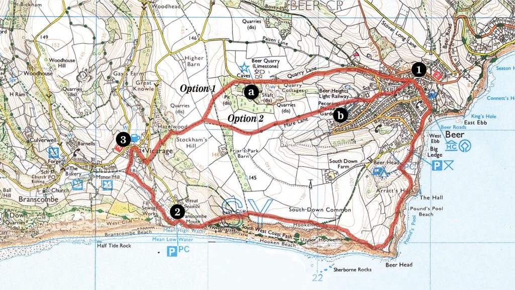 Beer to Branscombe - Beer Village